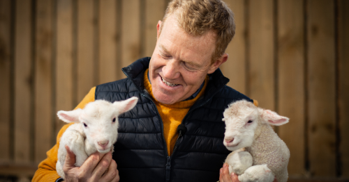 10 Things to do in Shipston-on-Stour | StayCotswold