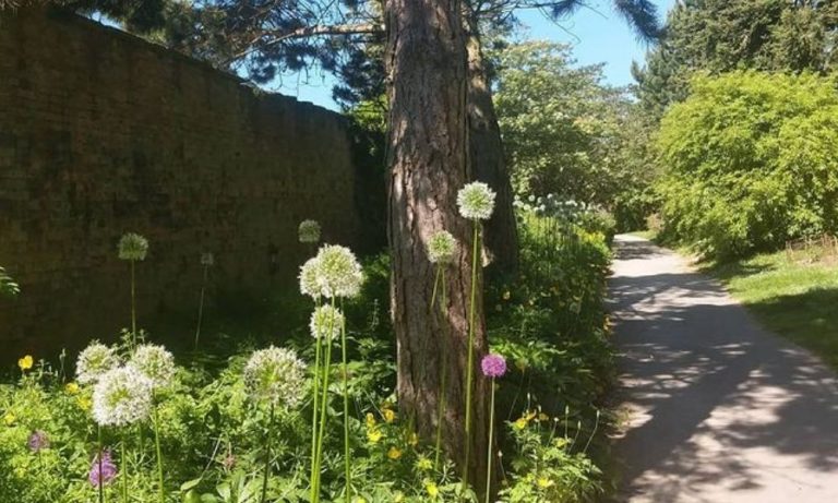 10 Things to do in Stow-on-the-Wold | StayCotswold