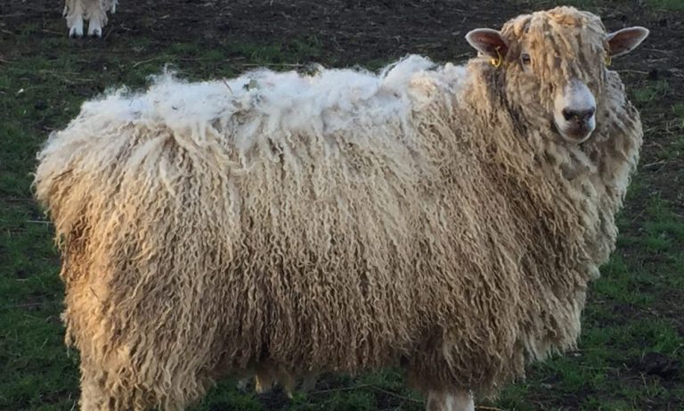 What is the Cotswolds known for? | StayCotswold